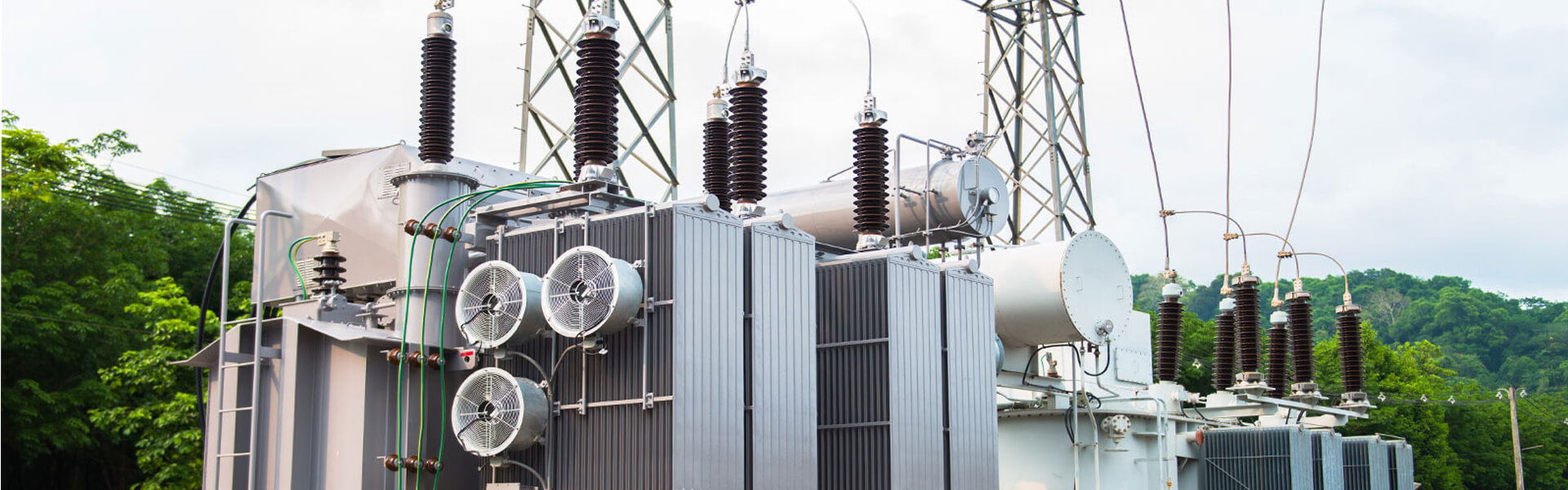 Heavy Electrical Engineering Sector - 2 Companies | | Praxisinfosolutions